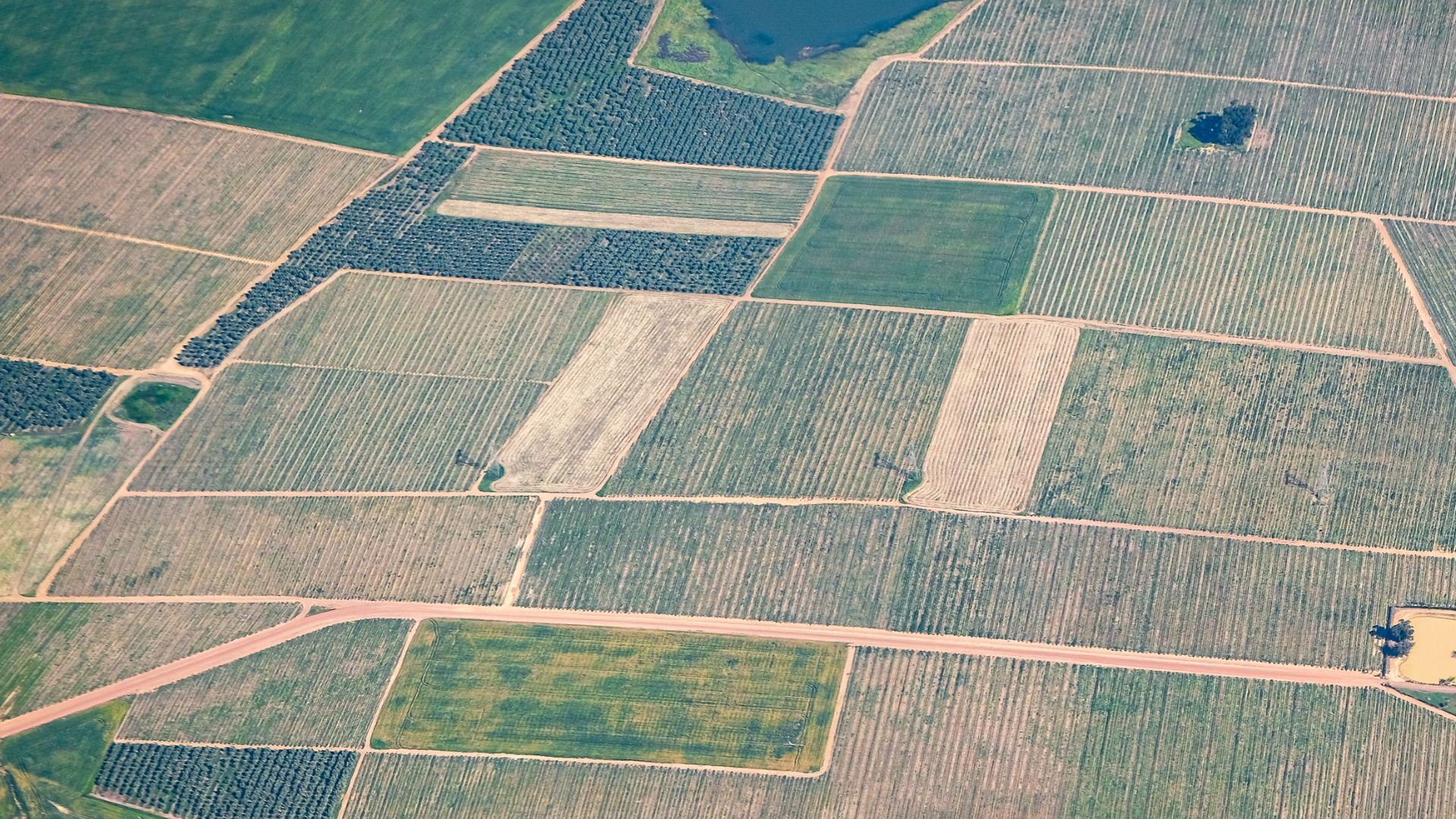 Será o BUPi a resposta a um desígnio com muito mais que dois séculos?